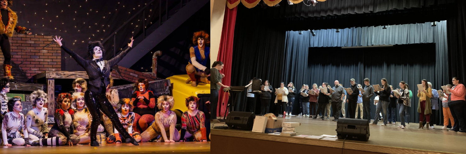 Rent The Collins | Collins Theatre in Paragould, AR